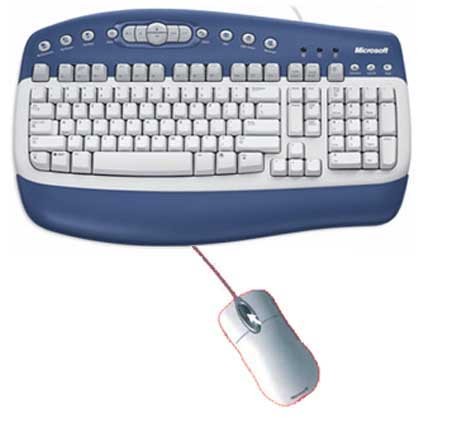 Configure a PC with MS Multimedia Keyboard & Optical Mouse